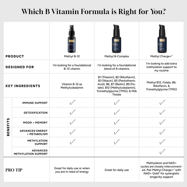 Methyl B-Complex - Liposomal Methylated B-Complex - Quicksilver