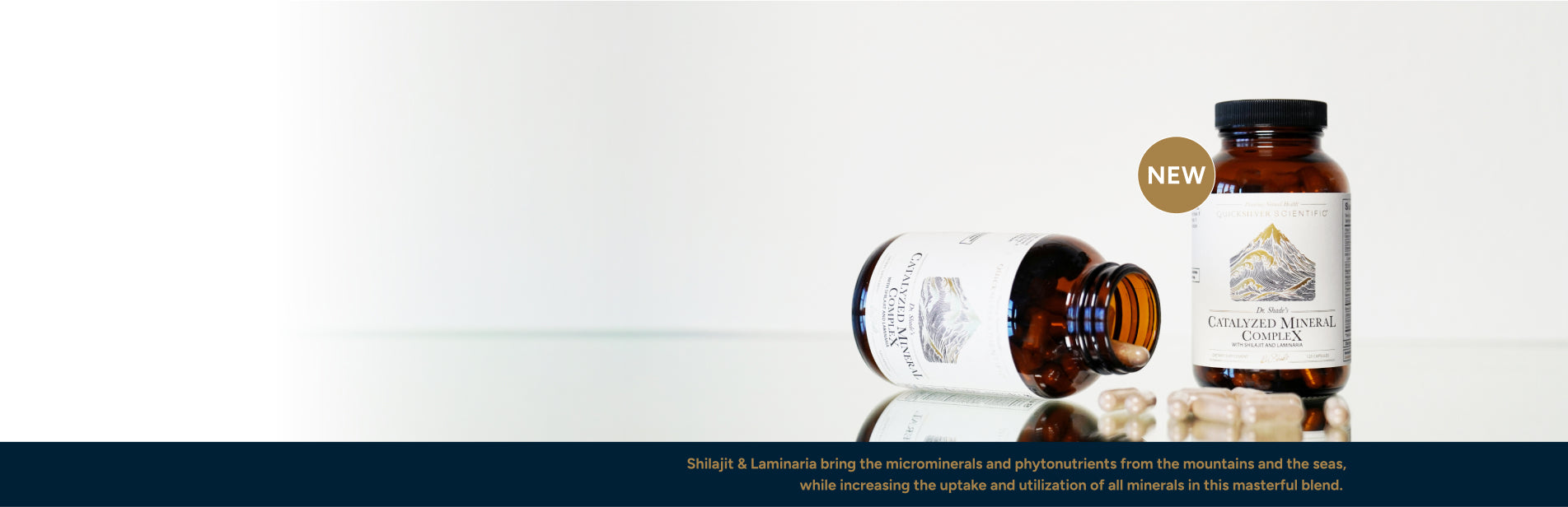 Liposomal Vitamins + Detox Supplements - Quicksilver Scientific